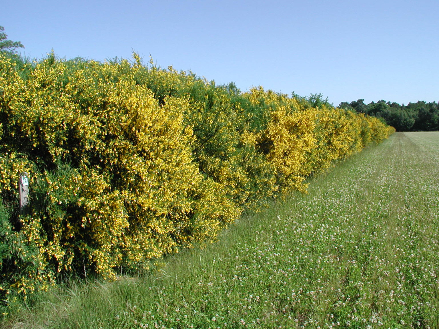 Genet - Astrid de Sologne, Miradors et aménagement du territoire
